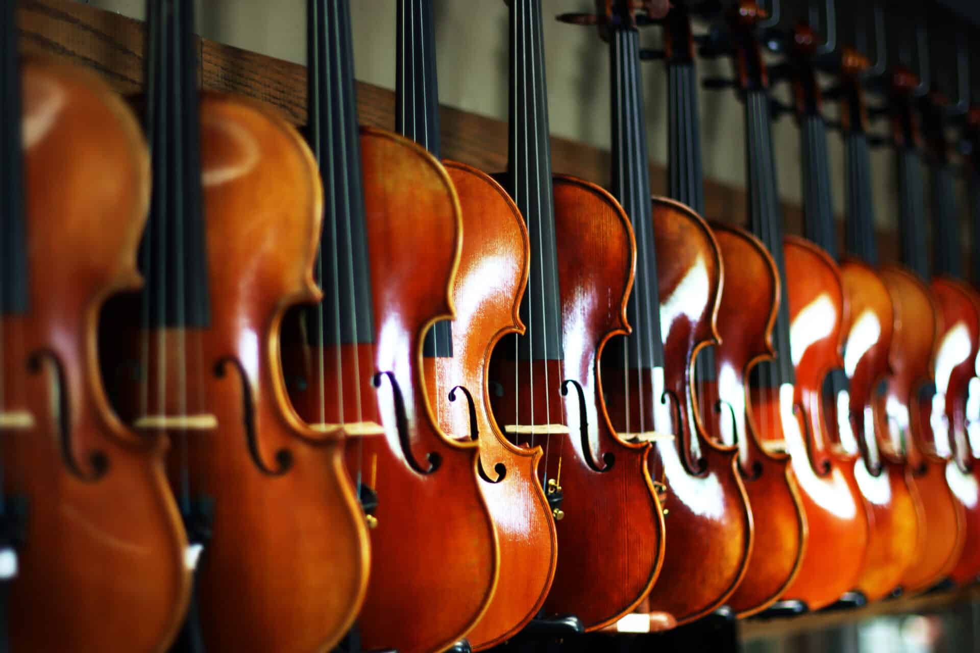 String Instruments | Plum Grove Music