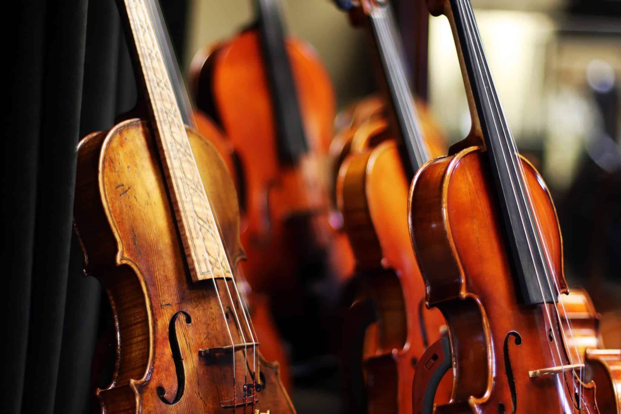 String Instruments | Plum Grove Music